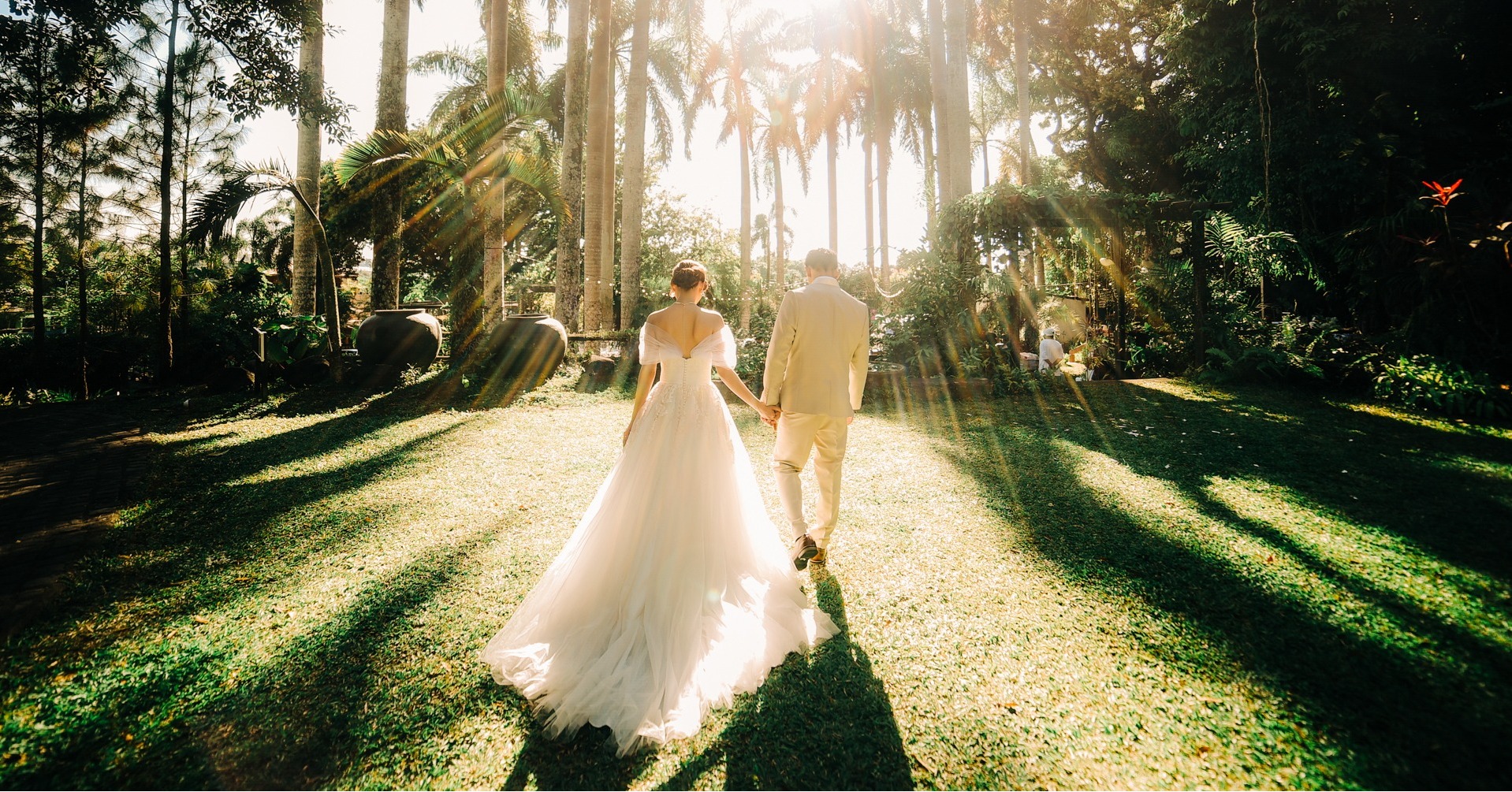 A Step-by-Step Guide To Achieving Tropical Elegance For Your Garden ...